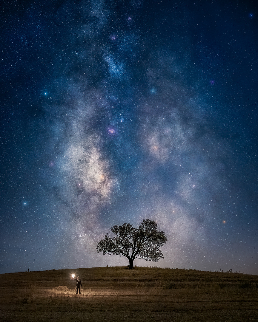 Galactic tree | Federación Andaluza de Fotografía